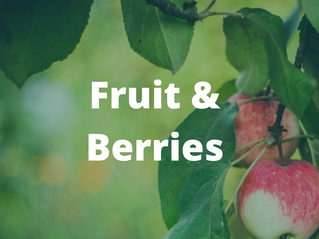 Fruit & Berries – Alpine Plant World